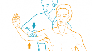 Actualisation des tests cliniques de l’épaule – La médecine du sport